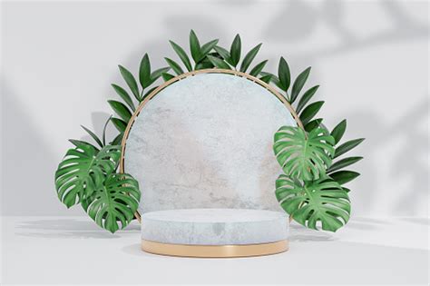 화장품 디스플레이 제품 스탠드 흰색 배경에 녹색 잎 공장투명 대리석 흰색 실린더 연단 3d 렌더링 그림 0명에 대한 스톡 사진 및 기타 이미지 Istock