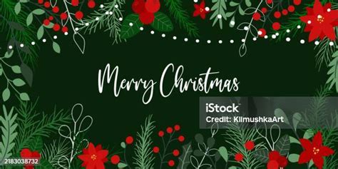 나뭇 가지 열매 호랑가시나무 포인세티아 꽃 및 텍스트가 있는 크리스마스 배너 0명에 대한 스톡 벡터 아트 및 기타 이미지 0명 12월 가문비나무 Istock