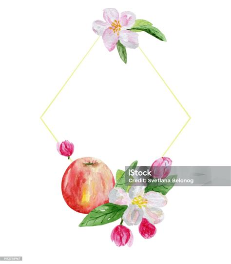 섬세한 사과 꽃과 육즙이 많은 과일을 가진 다이아몬드 모양의 식물 엽서 사과와 꽃 엽서 포스터 및 봄 배너를위한 수채화 0명에