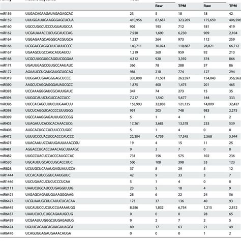 Minimum Length N90 Mean Length N50 And Maximum Length Of Contigs Download Scientific
