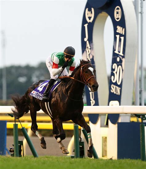 エピファネイア、菊花賞＆ジャパンc制し、種牡馬でもg1馬3頭輩出 活躍の要因は？ 角居勝彦元調教師 Thanks Horse 競馬