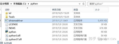 Python Selenium Webdriver