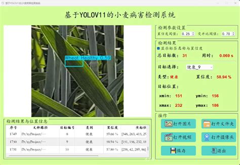 Yolov11模型训练小麦病害检测数据集 建立基于yolov11pyqt5的小麦病害检测系统 推理识别检测叶锈病、健康、散黑穗病、黄锈病、秆锈病 Csdn博客