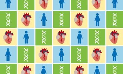 Dataset Diversity Improves Heart Disease Risk Prediction Healthcare In Europe Com