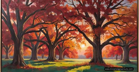 33 Powerful Tree Metaphors Nature S Life Lessons