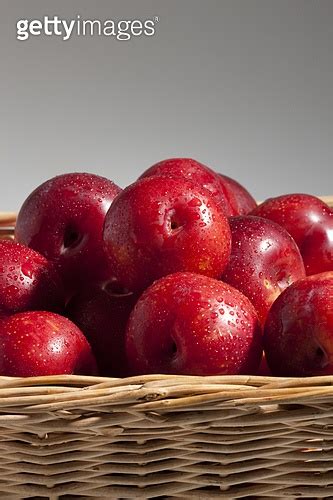 Pulms In Basket 이미지 A10707983 게티이미지뱅크