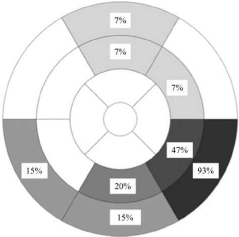 myocardial left ventricular 17 segment model showing distribution of