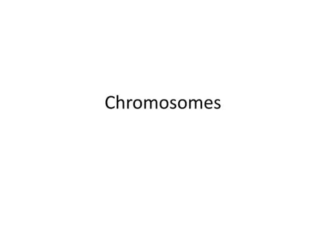 Chromosomes Pptx