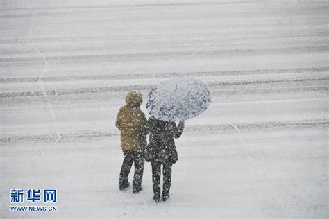 山东烟台普降大雪 组图 图片中国 中国网