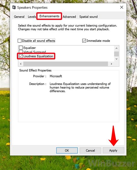 Windows How To Use The Audio Normalizer Or Adjust App Audio Individually