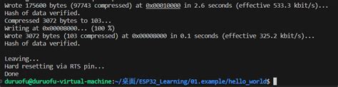 IDF开发入门 1 ESP32工程结构及构建 Duruofu s 个人测试