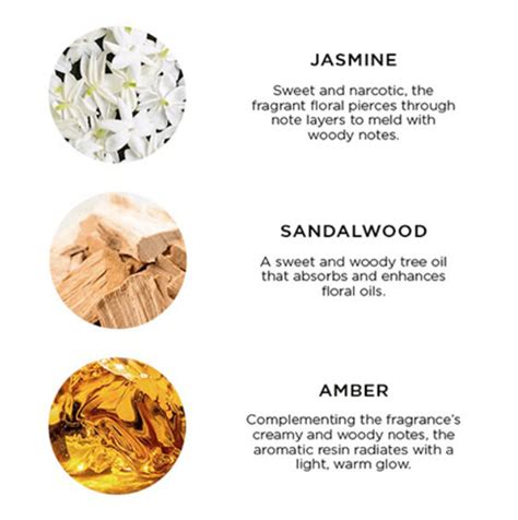 Michael Kors Sexy Amber Edp 100ml Free Kors Coin Purse Unichem