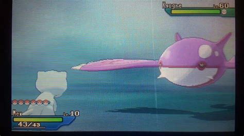 Shiny Kyogre In Ultra Moon 1358 Soft Resets Youtube
