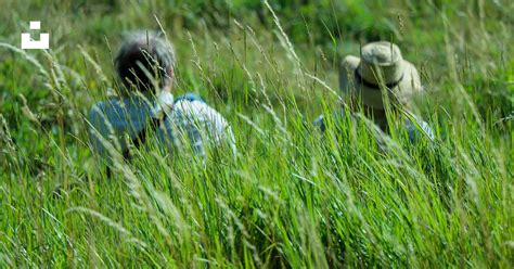 낮 동안 푸른 잔디밭에 앉아 있는 파란색과 흰색 격자 무늬 드레스 셔츠를 입은 남자 사진 Unsplash의 무료 야외 이미지