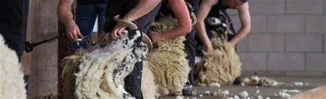 Royal Highland Show