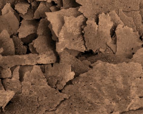 Bug Bites Goldfish Flakes 45 G 158 Oz Back Water Aquatics