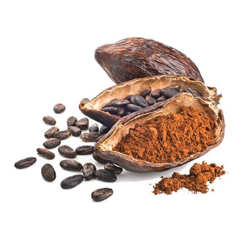 Cacao (Theobroma Cacao) | Nature's Secrets | Natural Supplements