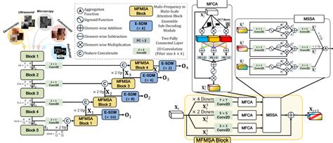 인하대 시각인공지능 연구팀 의료 영상 암·세포 픽셀 단위 정밀 예측하는 인공지능 모델 ‘madgnet 개발