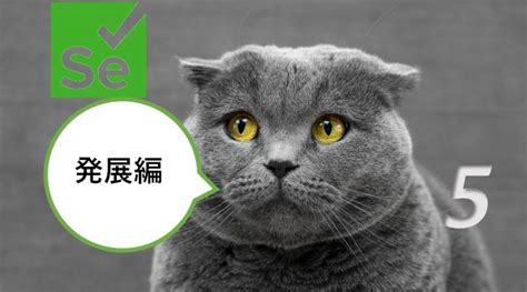 Seleniumを使ってテスト自動化。 第5回 発展編 Selenium Gridを使用してマルチノード、マルチスレッドでテストを実施
