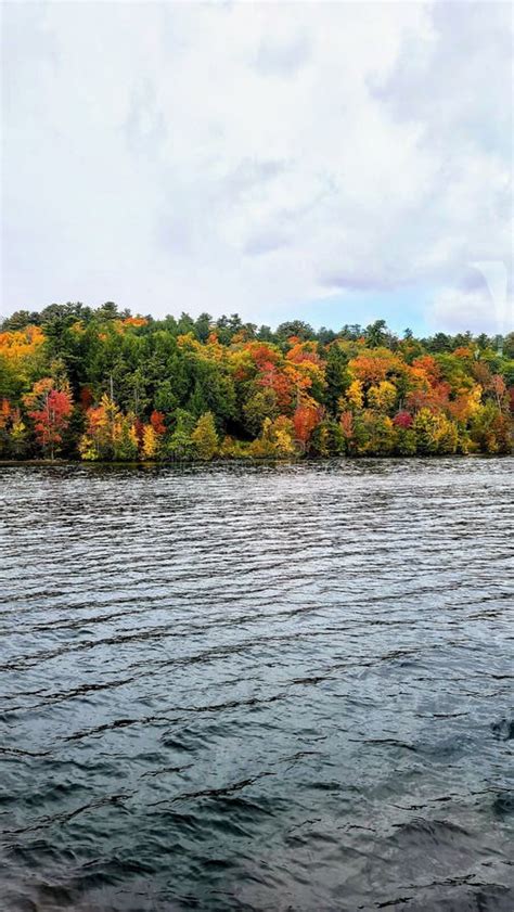 Fall Foliage On Lake George Ny Stock Image Image Of Foliage Colors