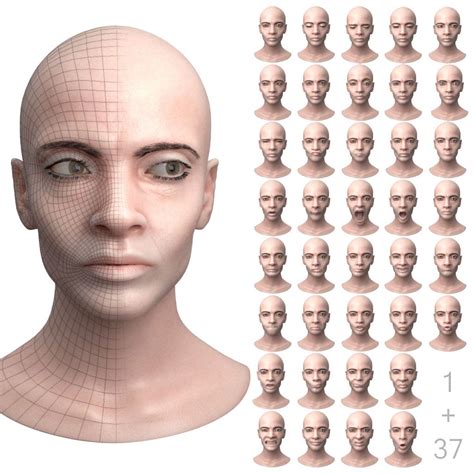Female Head With 37 Facial Expressions 3d Model 69 Ma Free3d