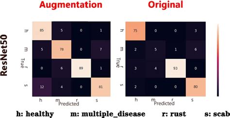 confusion matrixes in augmentation and original download scientific