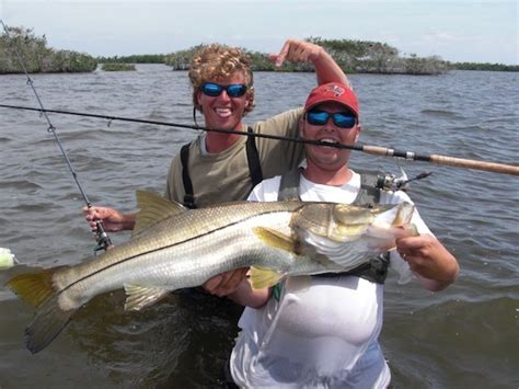 Florida Snook Season Set To Open Snook Season Florida Bloodydecks