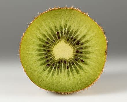 Kiwifruit Wikipedia