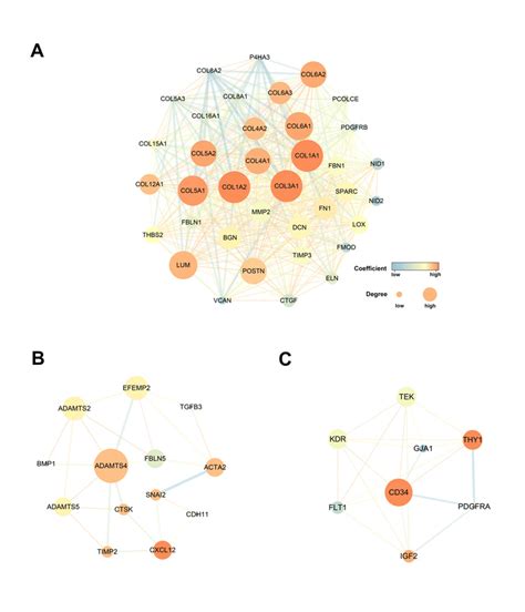 Top 3 Modules Of Ppi Networks A Col1a1 Module B Adamts4 Module Download Scientific