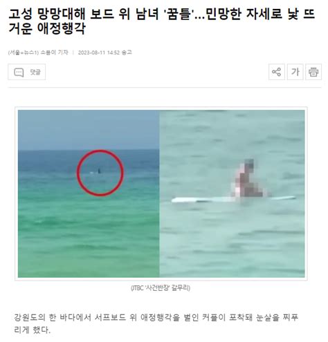 더쿠 고성 망망대해 보드 위 남녀 꿈틀 애정행각 커플
