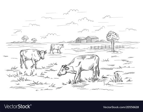 Cows Grazing On Meadow Hand Drawn Royalty Free Vector Image