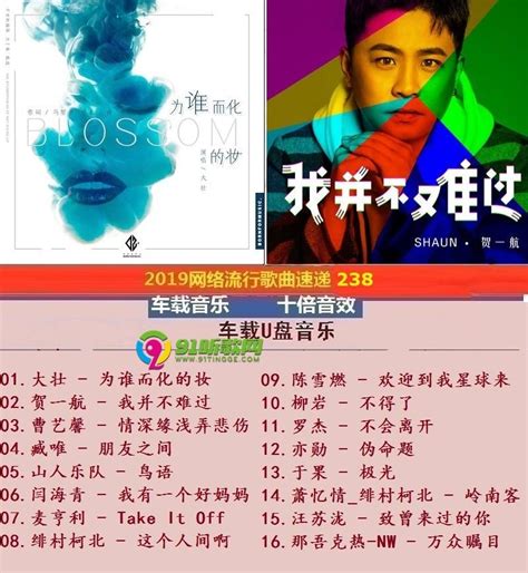 群星《2019网络流行歌曲速递238》十倍音效 Wav分轨