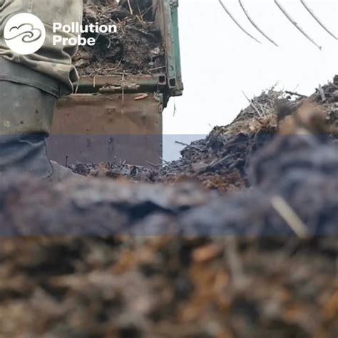 Pollution Probe On Linkedin Common Questions About Phosphorus