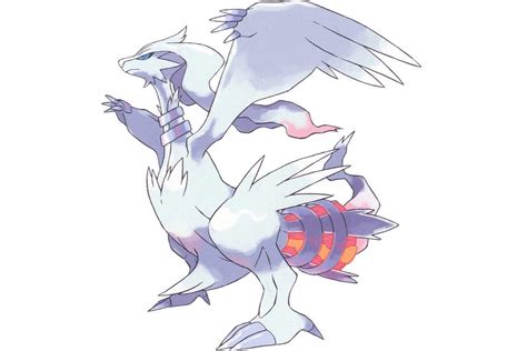 雷希拉姆《精灵宝可梦》中的角色搜狗百科