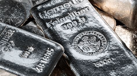 هنا لبنان فيديو لأكبر قنديل بحر في العالم فيديو