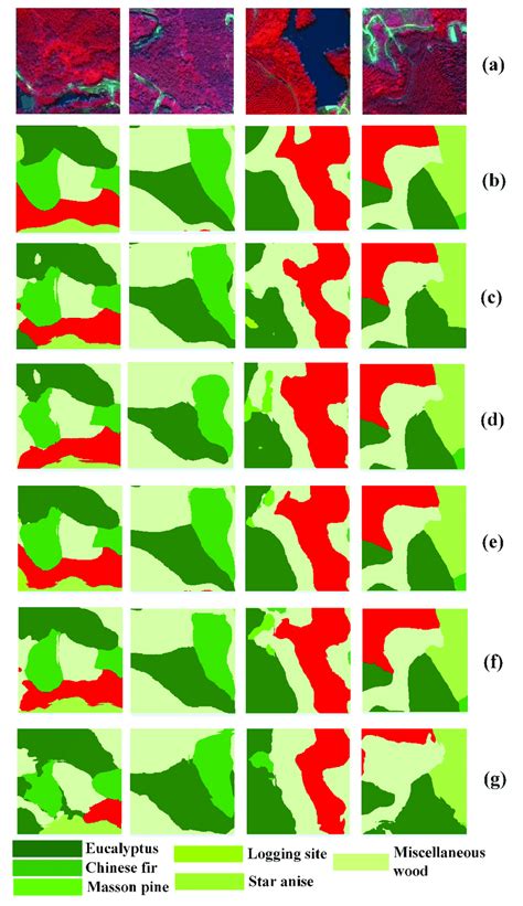 The Detailed Classification Results Of The Gaofeng Forest Farm Test Download Scientific Diagram