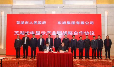 计划总投资超300亿元！芜湖重大项目正式签约显示合作产业化