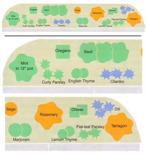 Kitchen Herb Garden Plans Mother Earth News