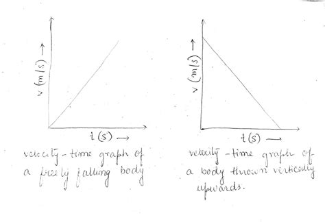 The Figure Shows Velocity Time Graph Of A Stone Throw