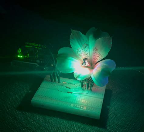 Lab 2 Digital Io With Arduino Boards By Salia Asanova Sep 2024