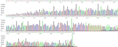 Electropherogram Of Sample 1 Download Scientific Diagram