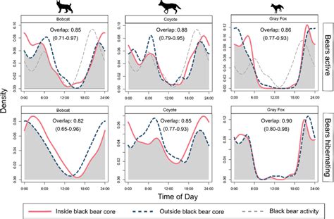 Temporal Activity Patterns Of Mesocarnivores Captured On Camera Traps Download Scientific