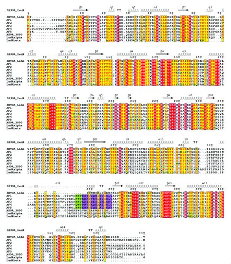 Multiple Sequence Alignment Of Putative Homologs Of Aspergillus Flavus