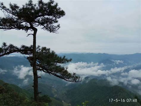 2024箬寮原始林游玩攻略 品尝了土家菜，放养着的鸡要 【去哪儿攻略】