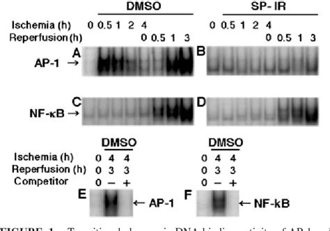 Figure From References Subscriptions Permissions Email Alerts Inhibition Of C Jun Nh Terminal