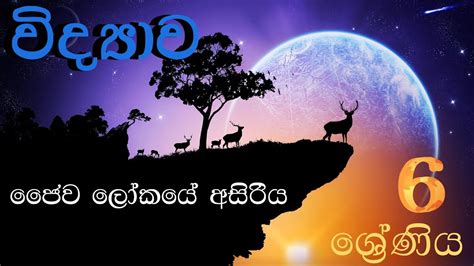 Grade 6 Science Sinhala Medium Lesson 1 ජෛව ලෝකයේ අසිරිය Youtube