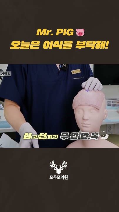 비절개 모발이식 모낭 이식 영상 Youtube