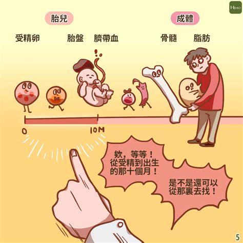 幹細胞研究享譽國際 兼具安全且萬能的羊水幹細胞專利在台灣！ Heho健康