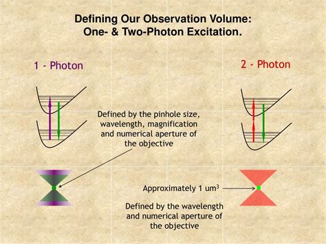 Ppt Prof Enrico Gratton Lecture 6 Part 1 Fluorescence Microscopy