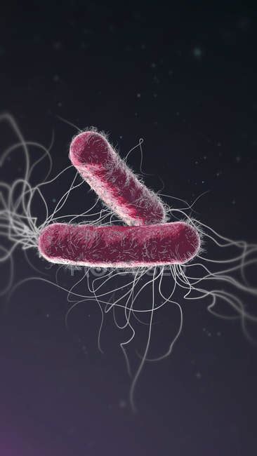 Antibiotic Resistant Pseudomonas Aeruginosa Bacteria Digital 3d